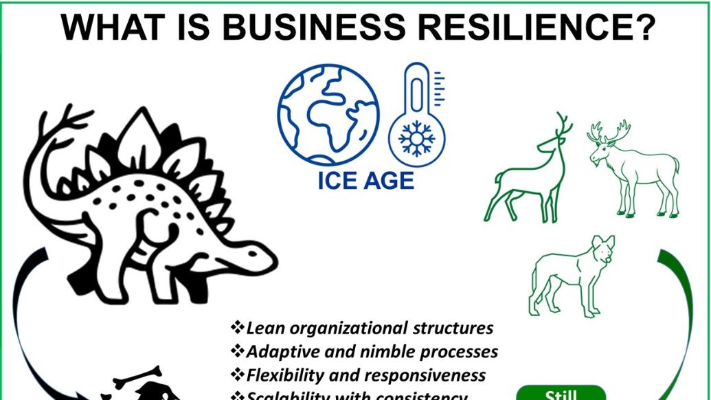 Blog page - The Agile Network